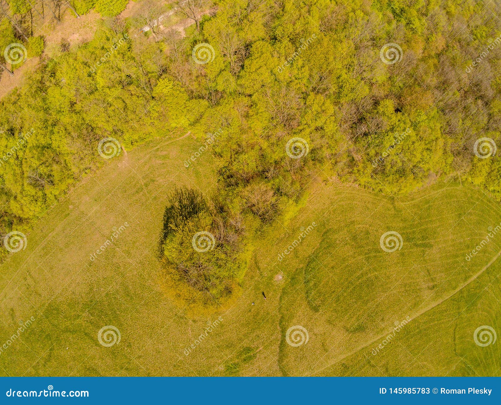 Green Trees and Forests from the Air from Above Stock Image - Image of ...