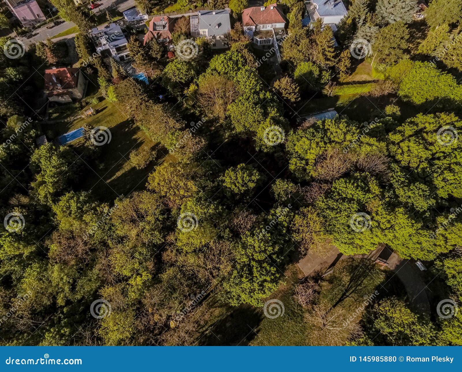 Green Trees and Forests from the Air from Above Stock Photo - Image of ...