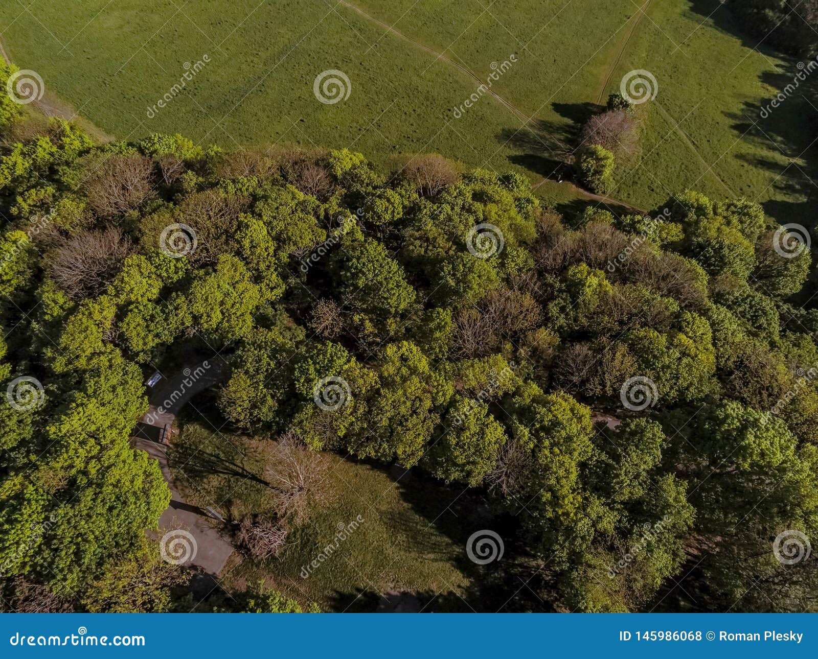 Green Trees and Forests from the Air from Above Stock Photo - Image of ...