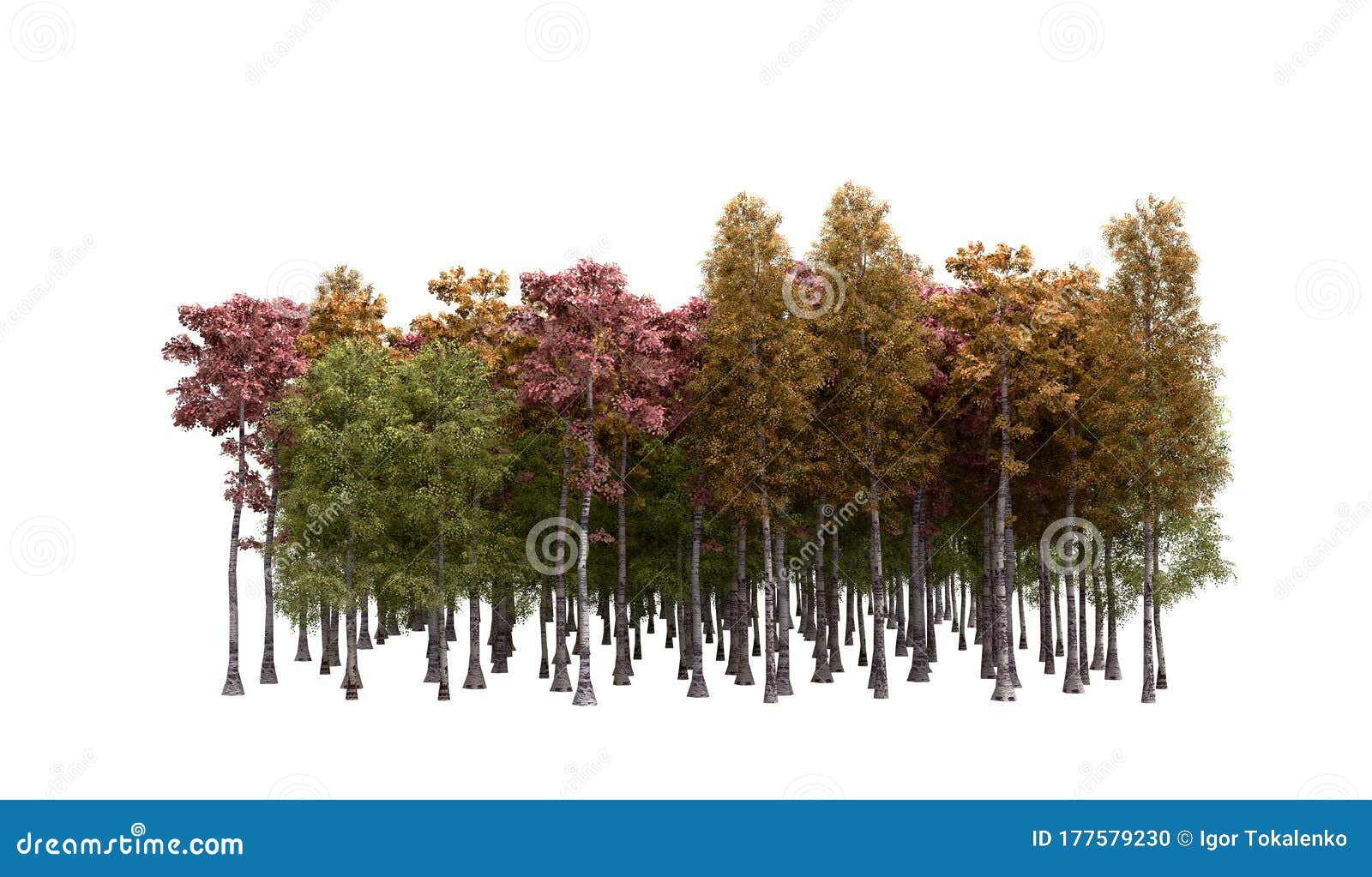 Green Trees Isolated on White Background Forest and Foliage in Autumn ...