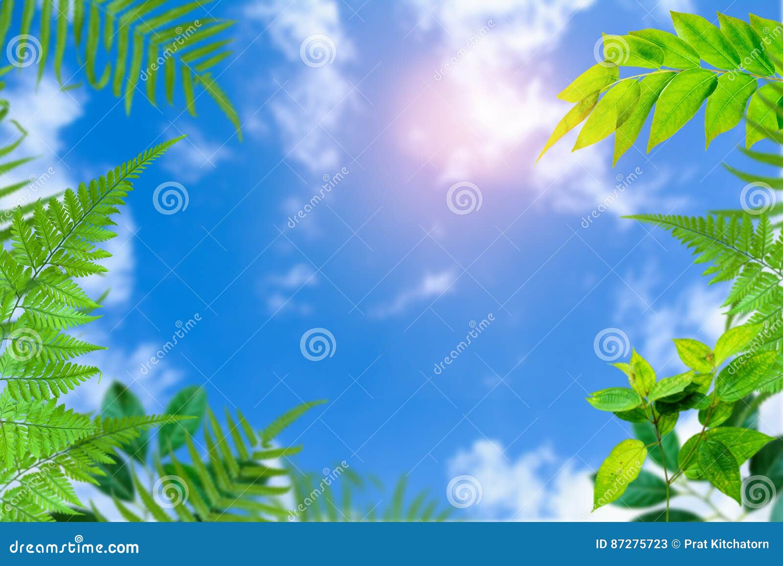 Green Trees and Leaf Greenery Sky Cloud Background Stock Image - Image ...