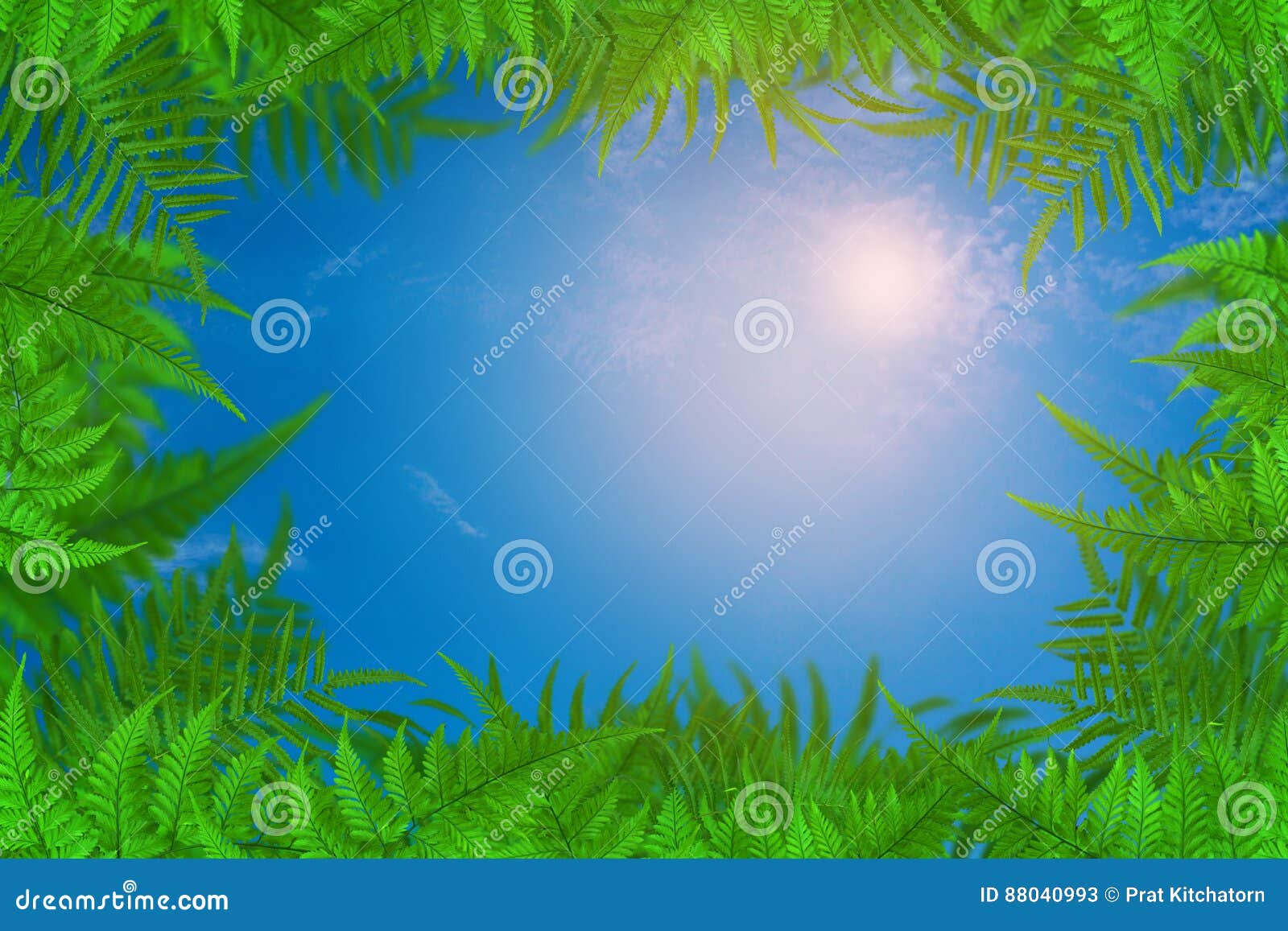 Green Trees and Leaf Greenery Sky Cloud Background Stock Image - Image ...