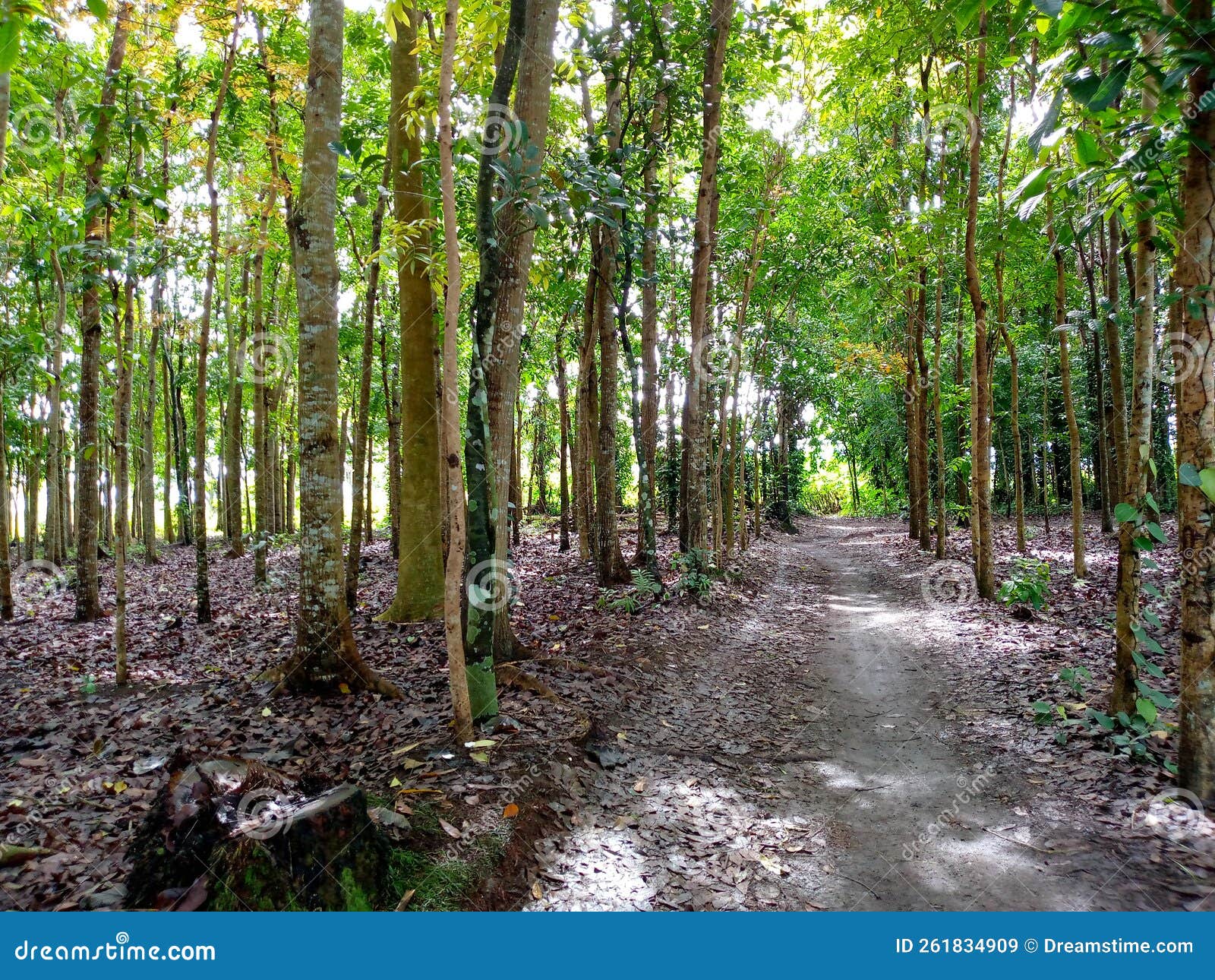 Beautiful Ice Ground Texture {Rough Wall Texture} Wallpaper Background ...