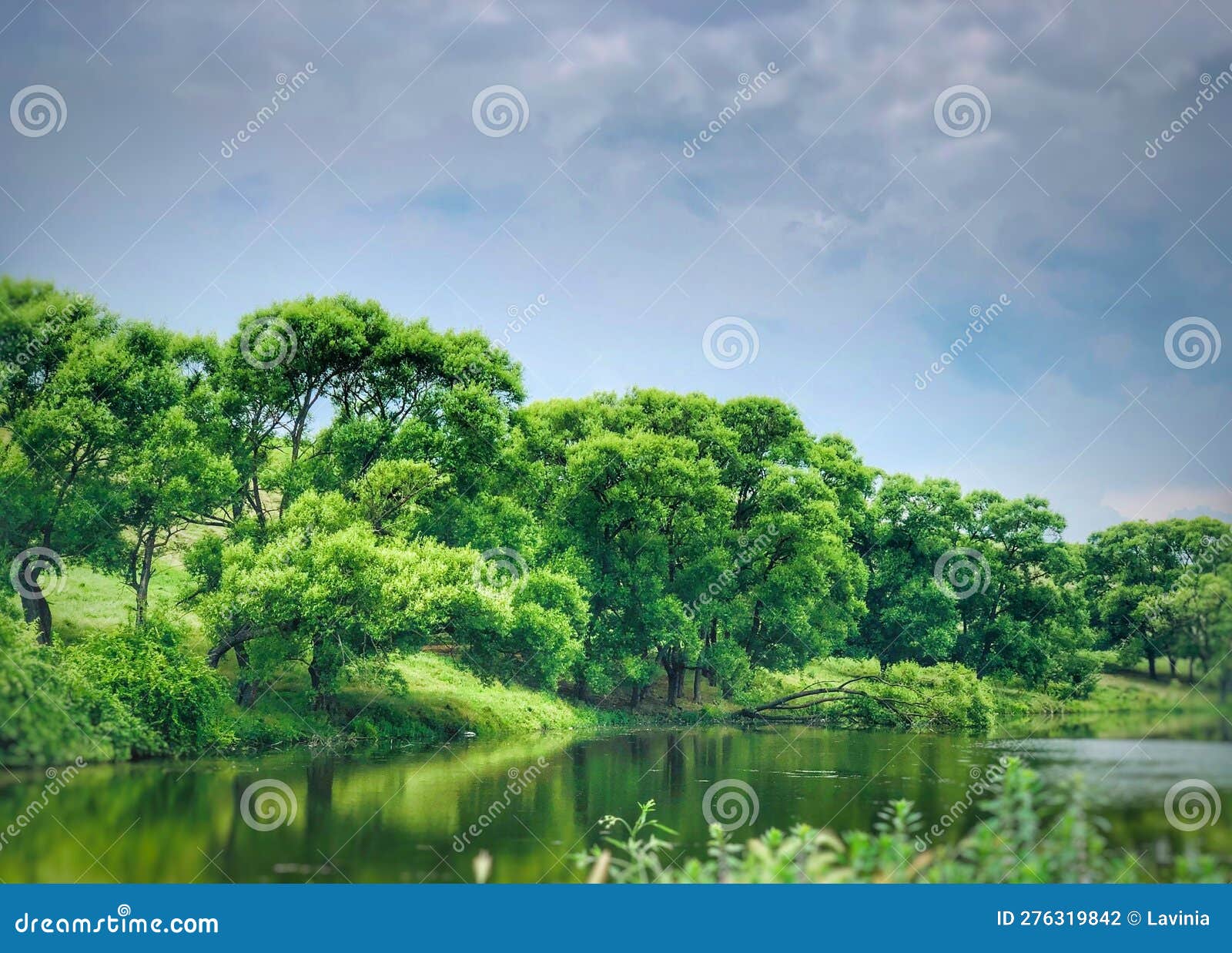 Green stock photo. Image of next, green, lake, trees - 276319842