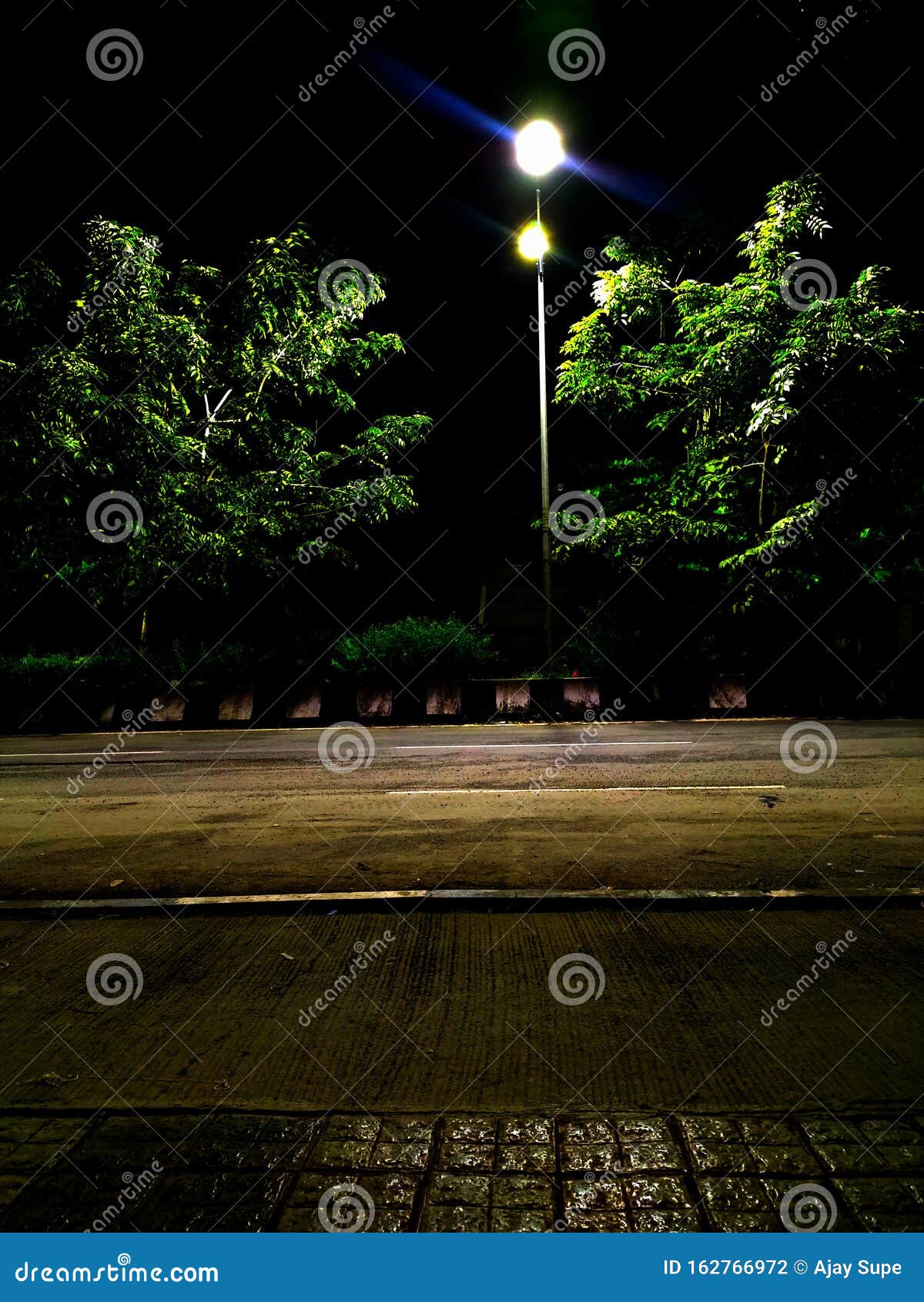 Green trees at night. stock photo. Image of pole, light - 162766972