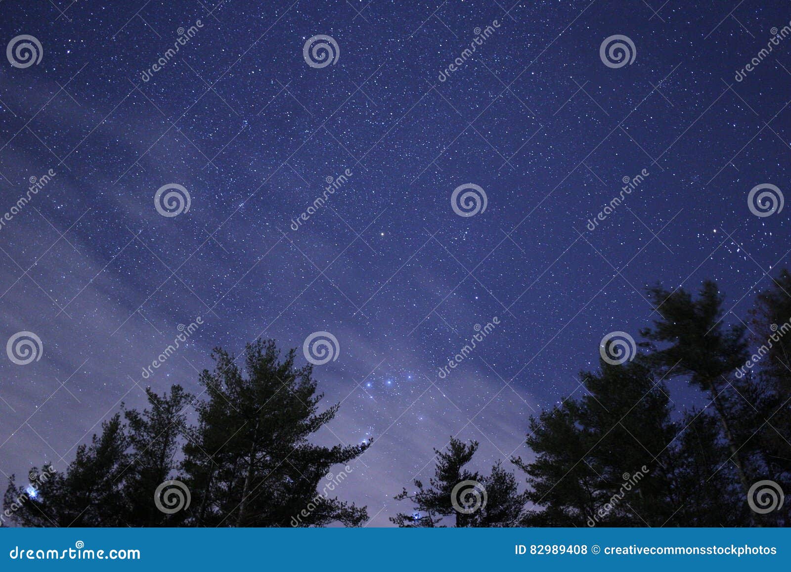 Green Trees During Night Time Picture. Image: 82989408
