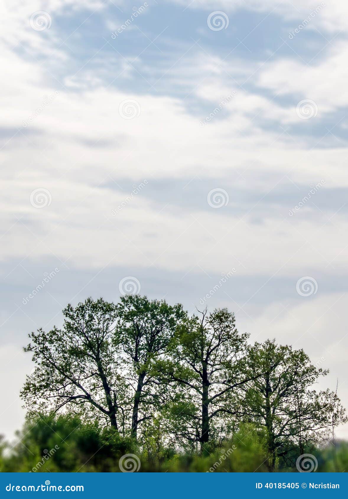 Green Trees Over the Blue Sky Stock Image - Image of landscape ...