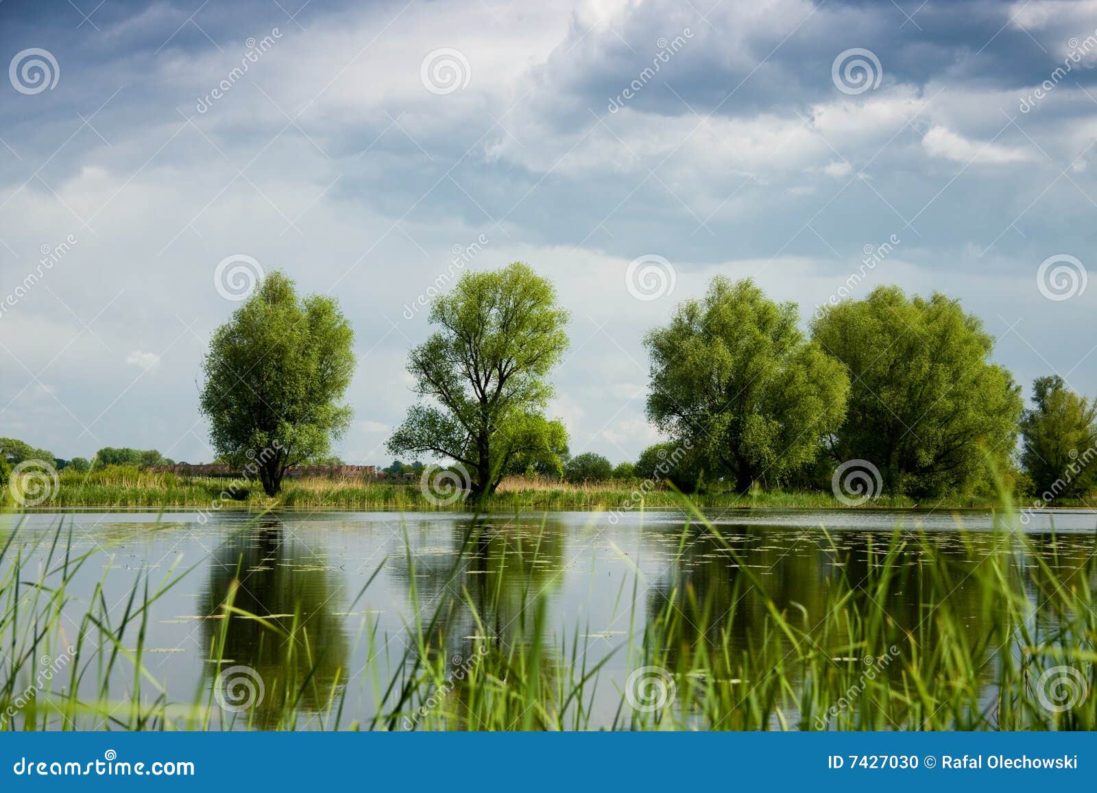 Green trees over lake stock photo. Image of clouds, summer - 7427030