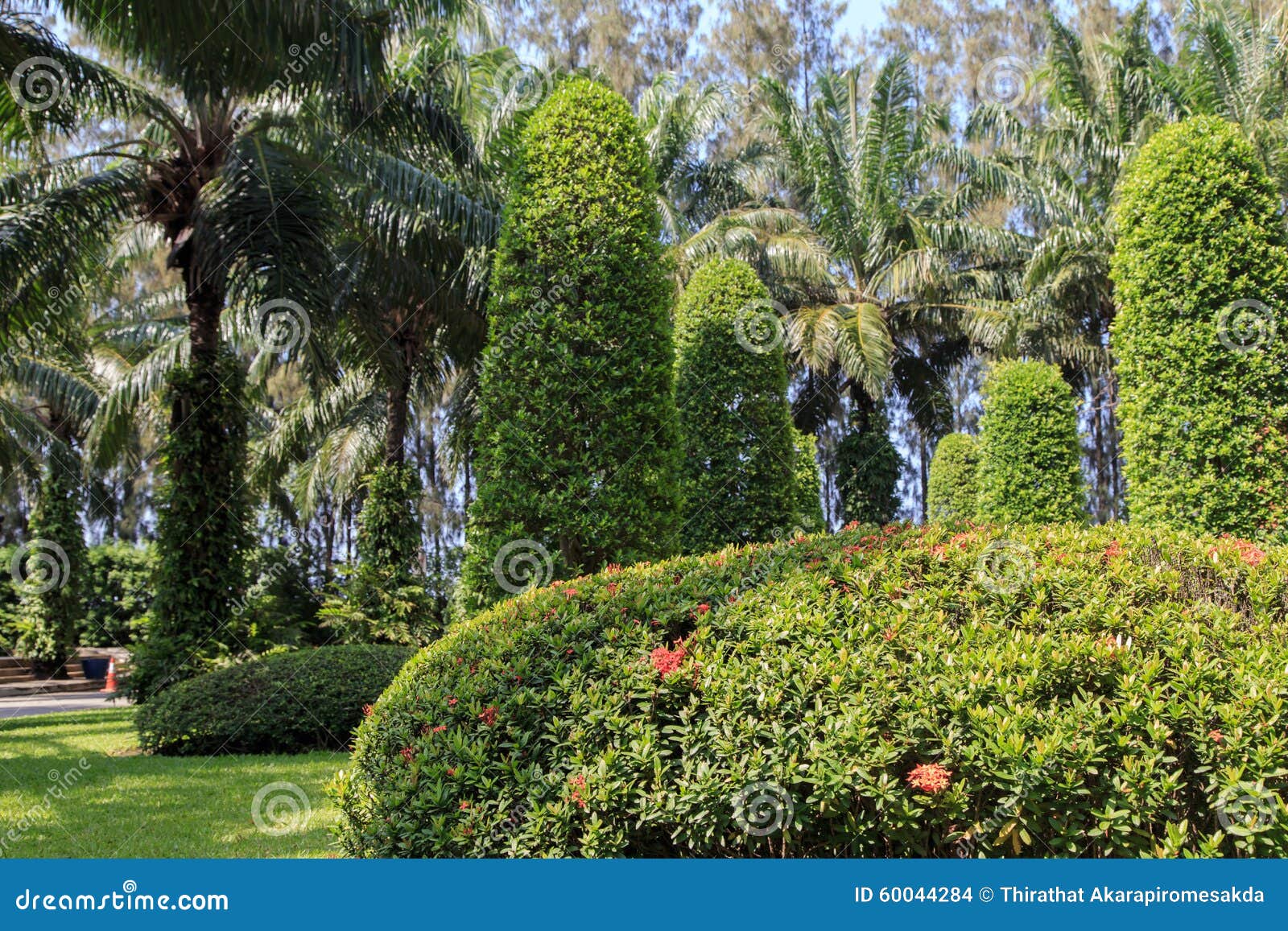 Green trees in park stock photo. Image of flowers, beautiful - 60044284