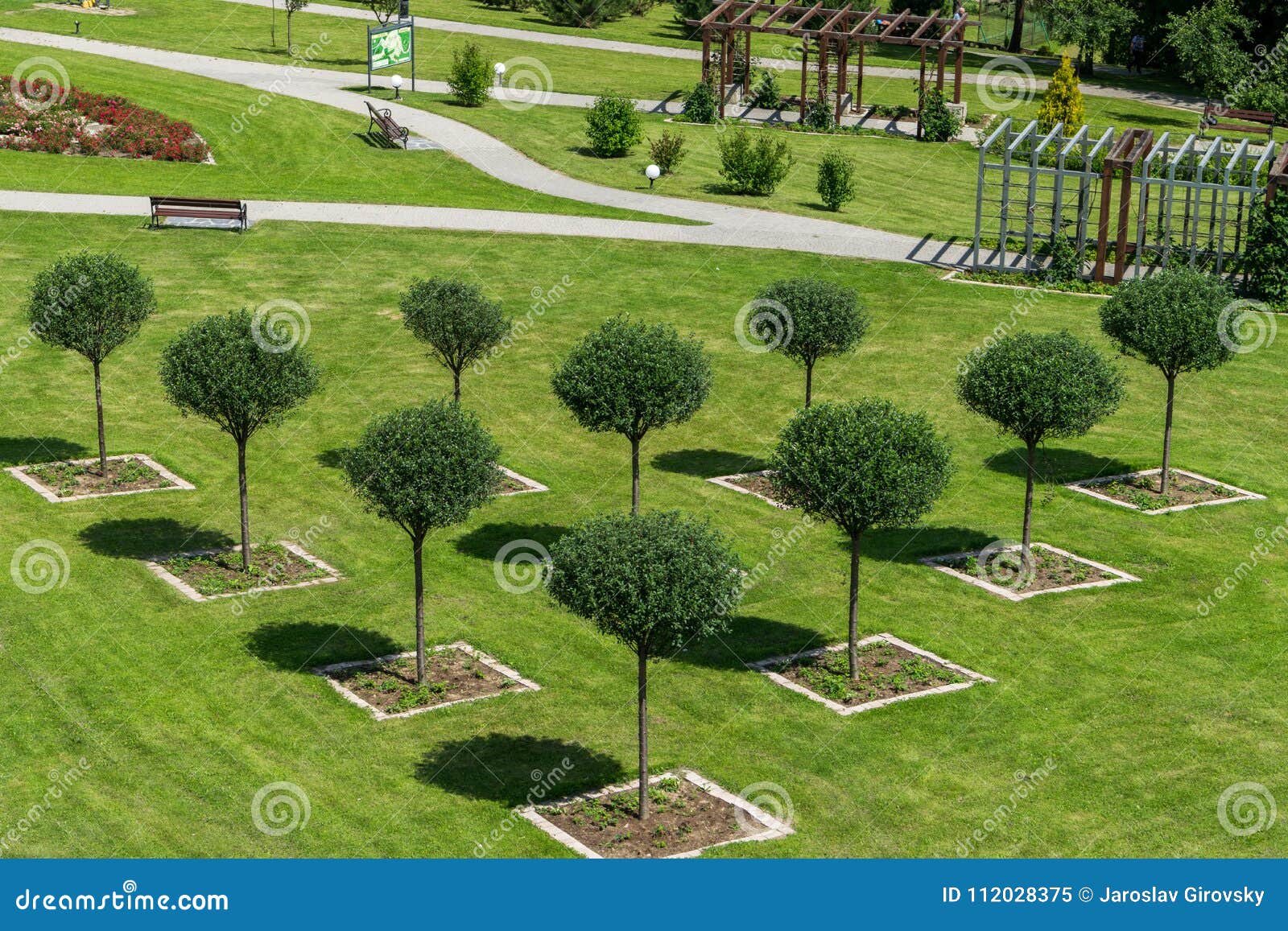 Trees planted in triangle stock image. Image of rows - 112028375