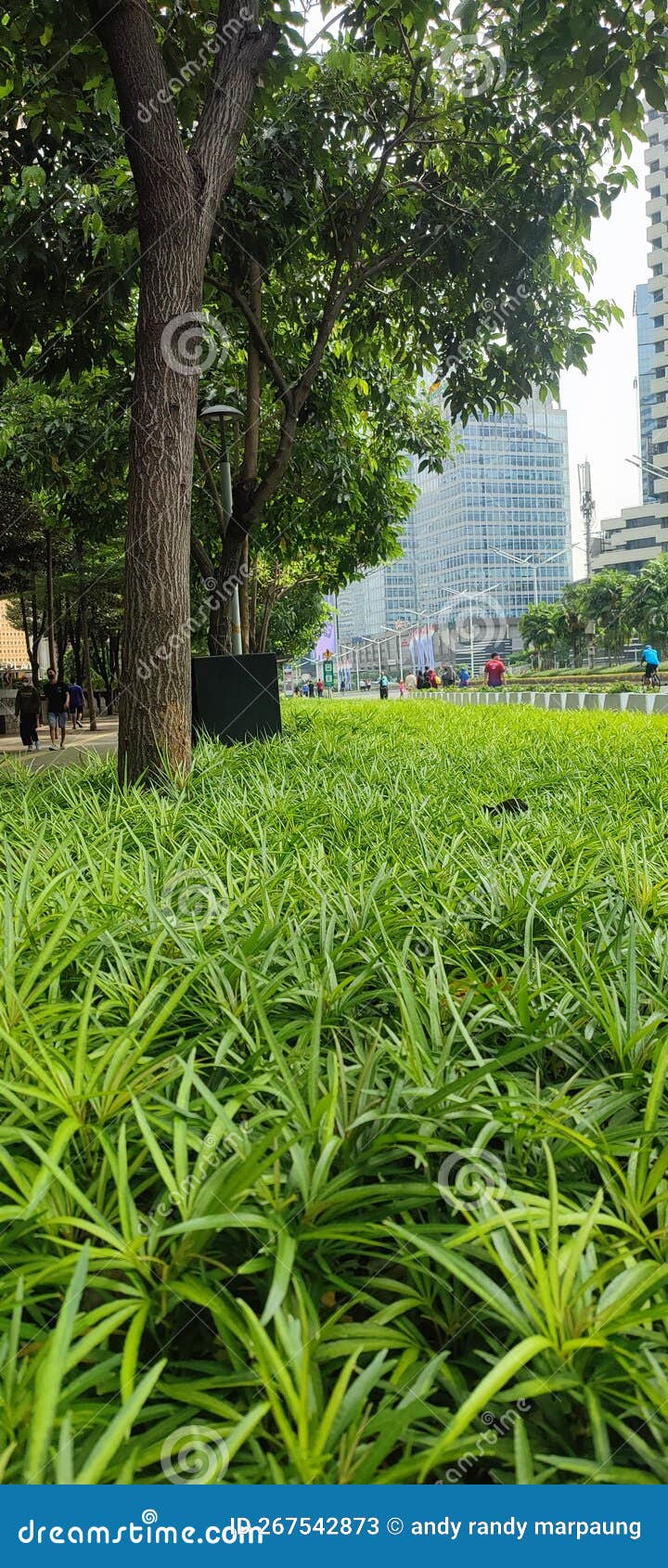 Green Trees and Plants Around the Buildings in the City Editorial Stock ...