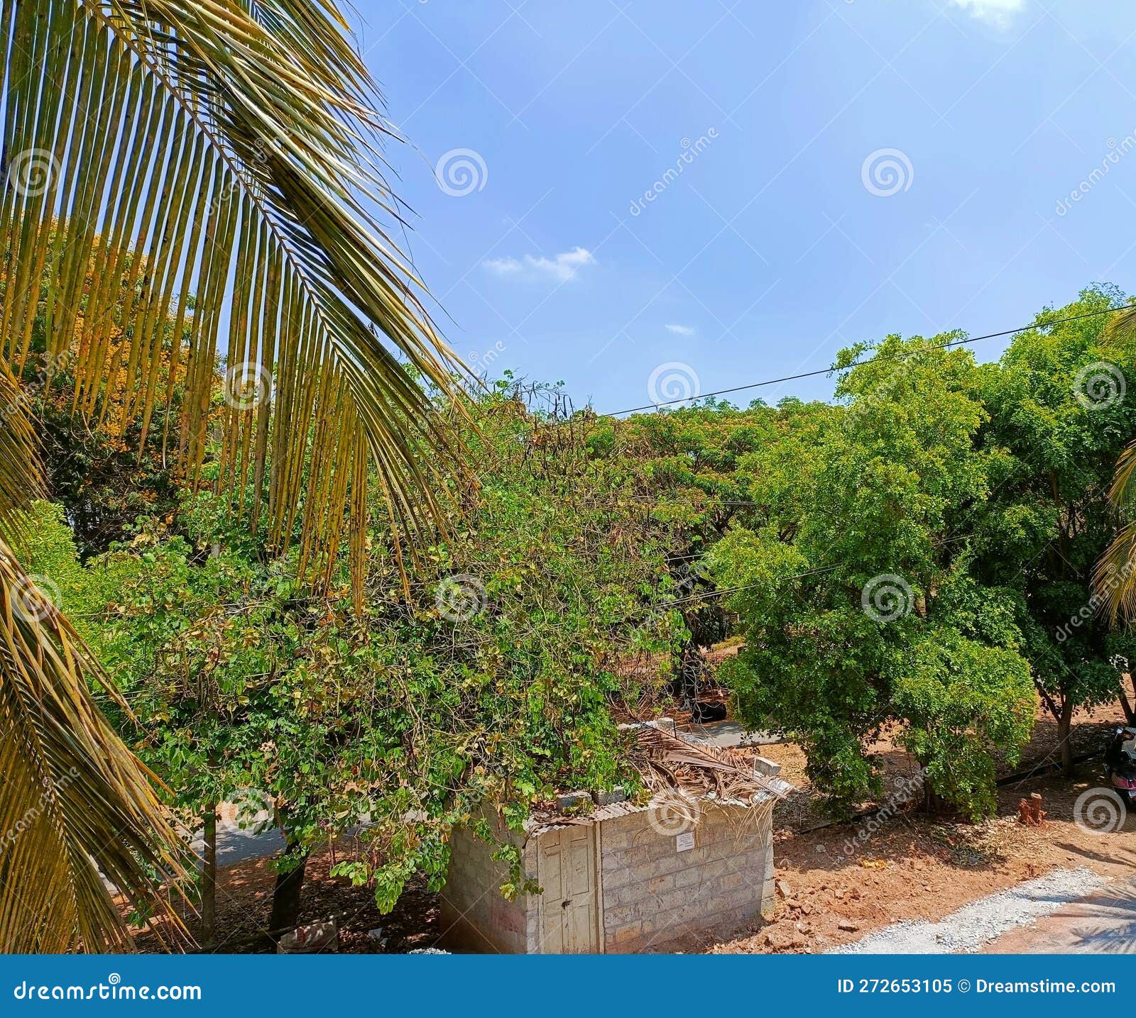 114 Mysore Skyline Stock Photos - Free & Royalty-Free Stock Photos from ...