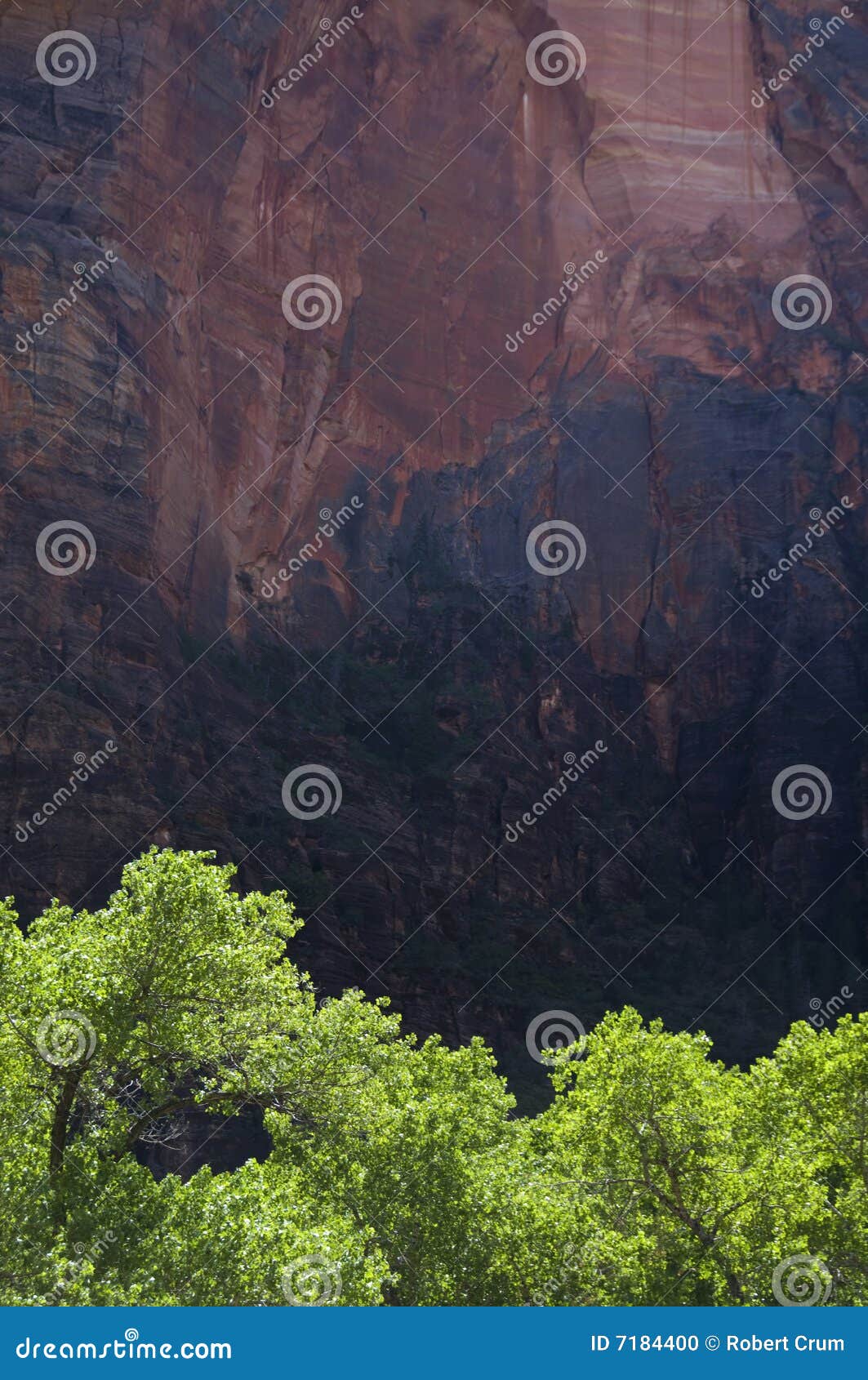Green trees, red rocks stock photo. Image of environmentalism - 7184400