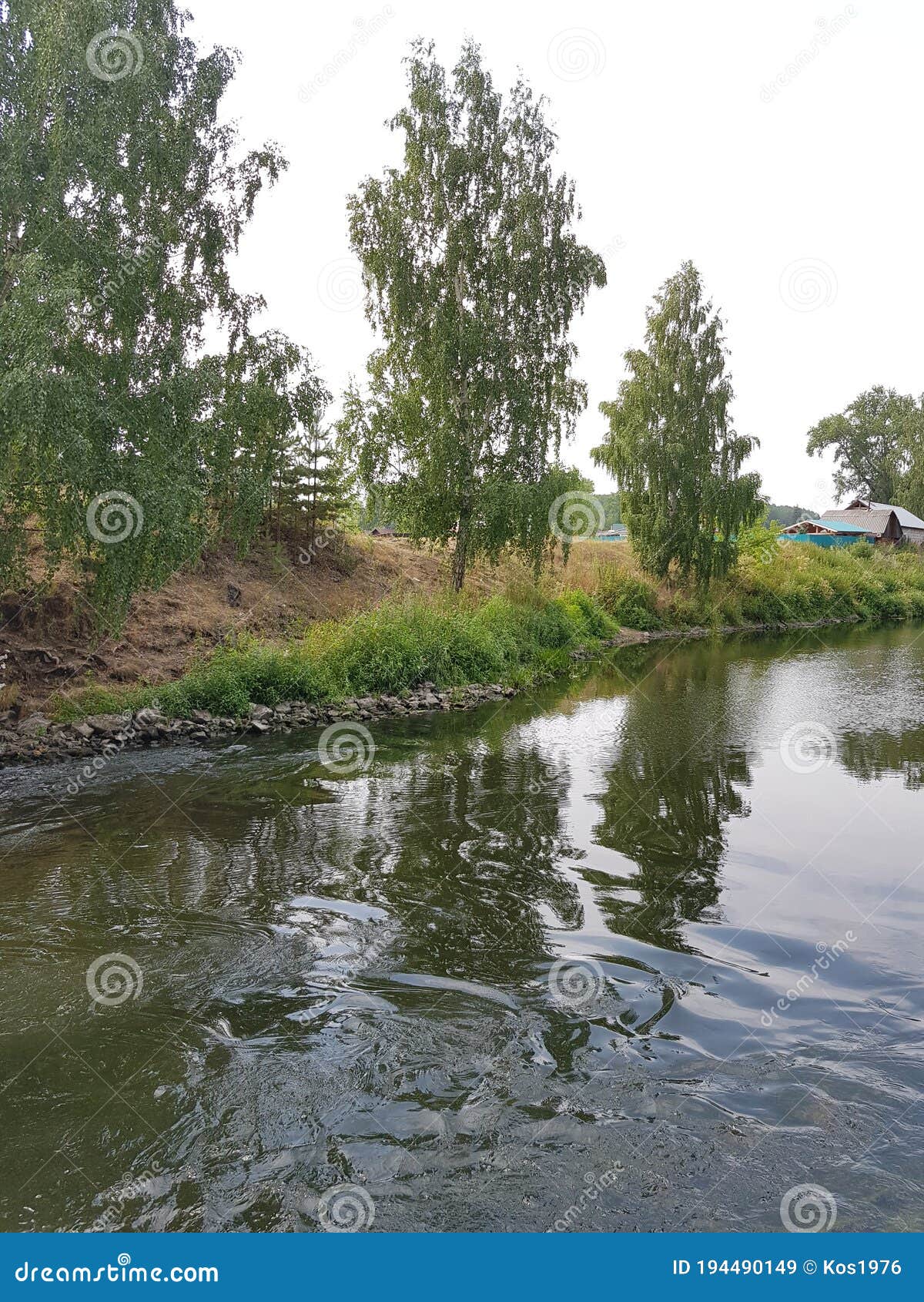 Green trees by the river stock image. Image of green - 194490149