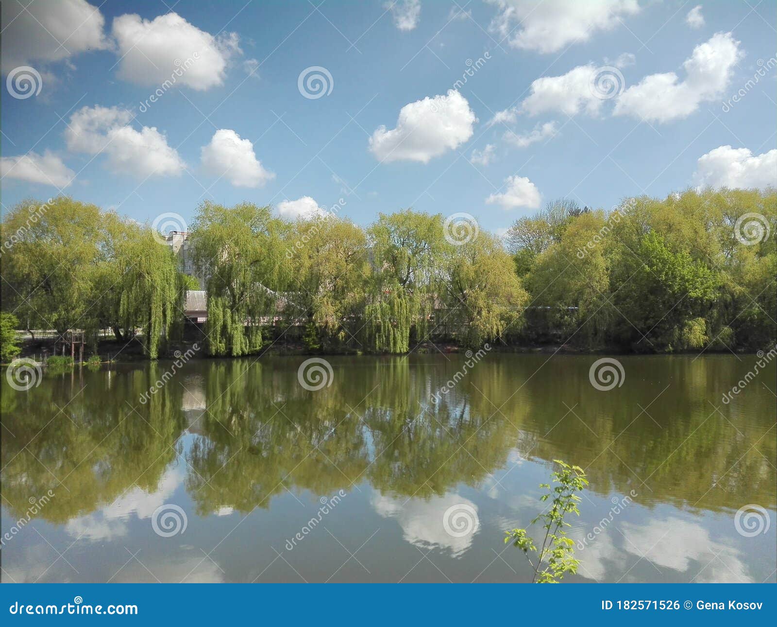 Green trees by the river stock photo. Image of green - 182571526