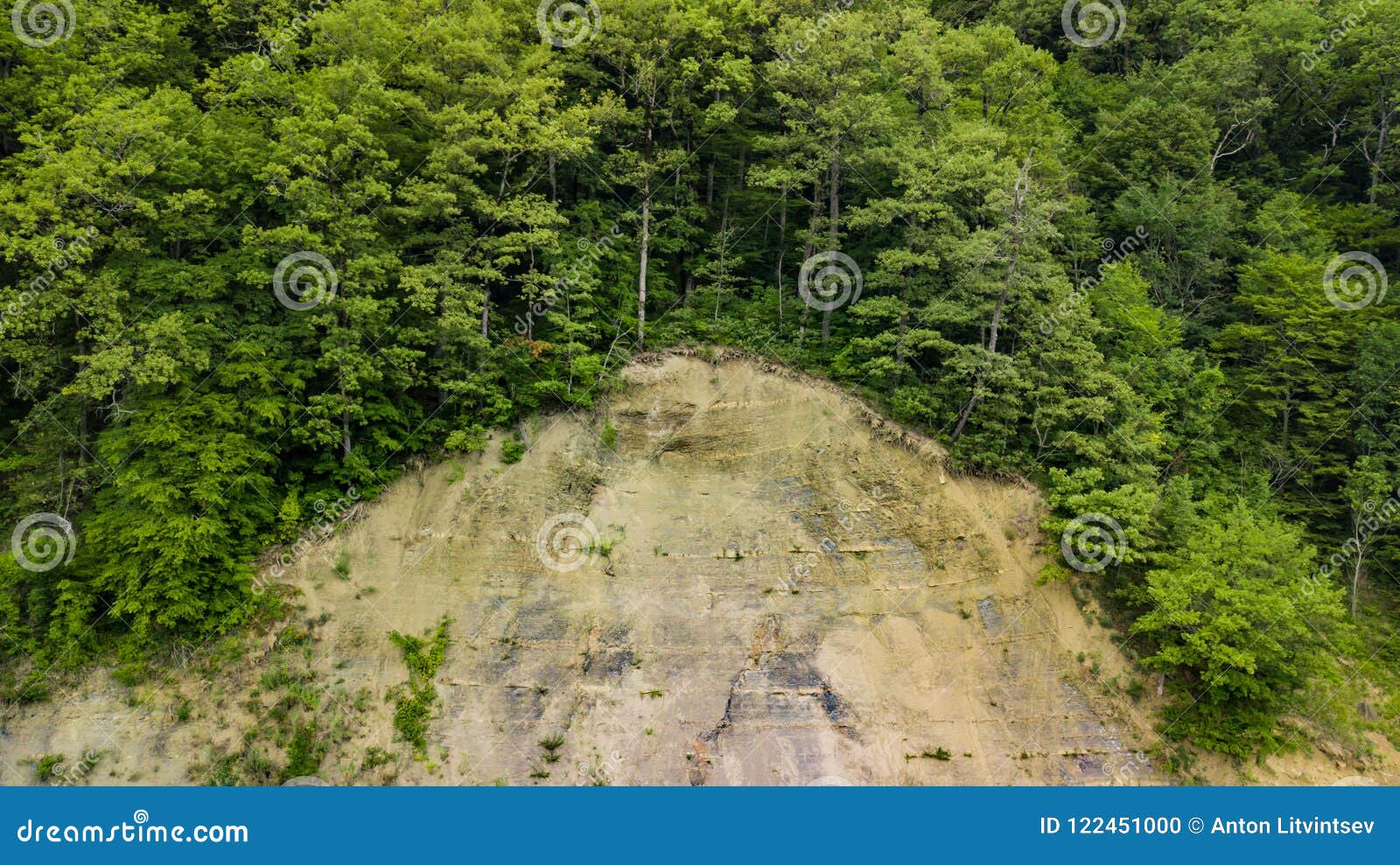Background Texture of Rocky Terrain with Trees Stock Photo - Image of ...