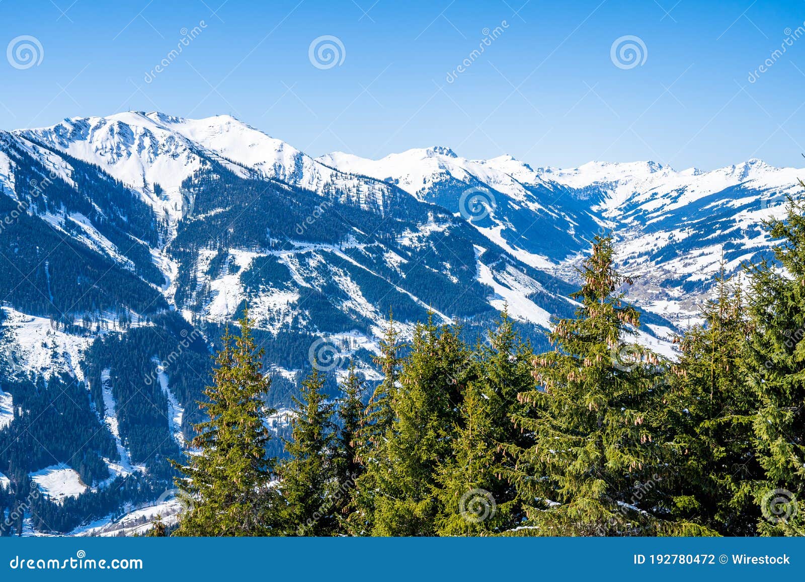 Green Trees with Snowy Mountains in the Background Stock Photo - Image ...
