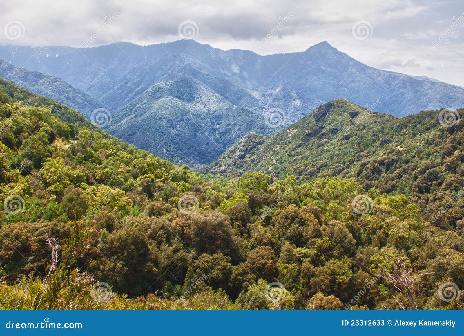 Green trees valley stock image. Image of outdoors, park - 23312633
