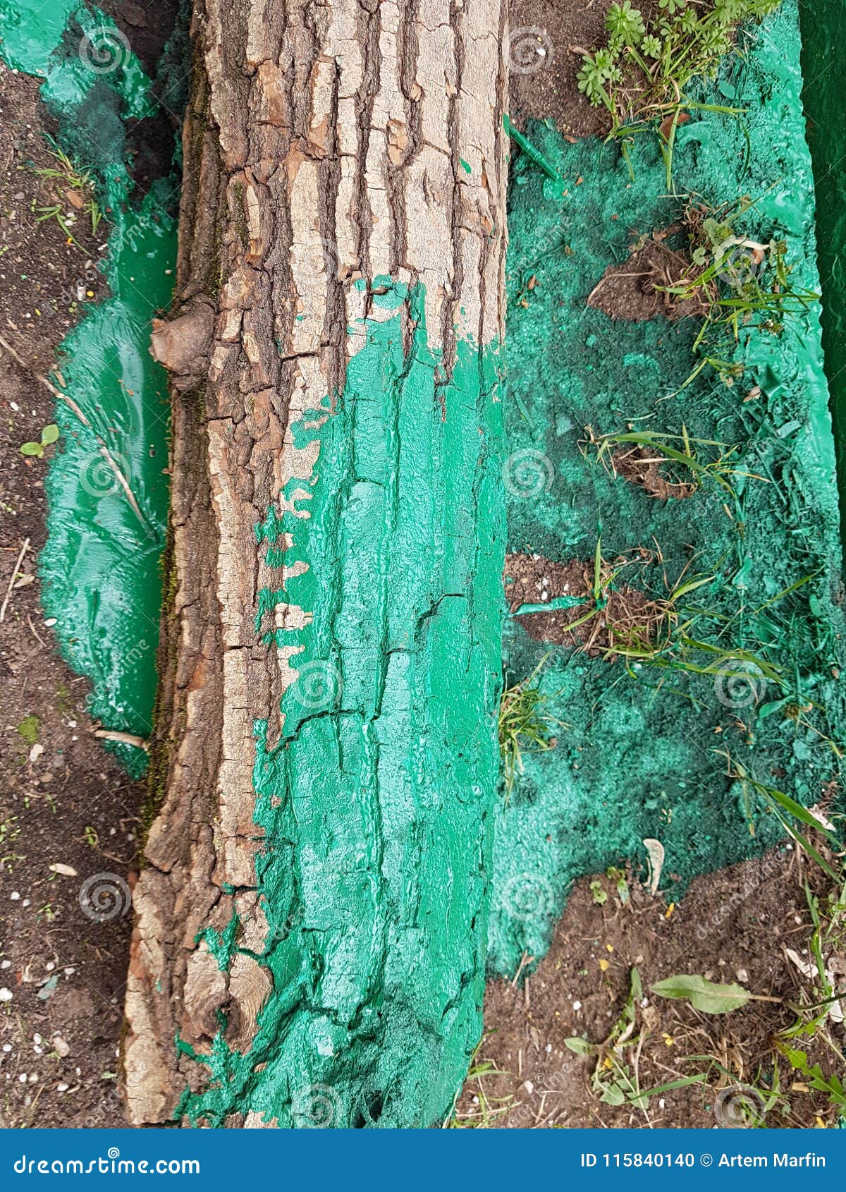 Green trunk stock photo. Image of tree, green, trunk - 115840140