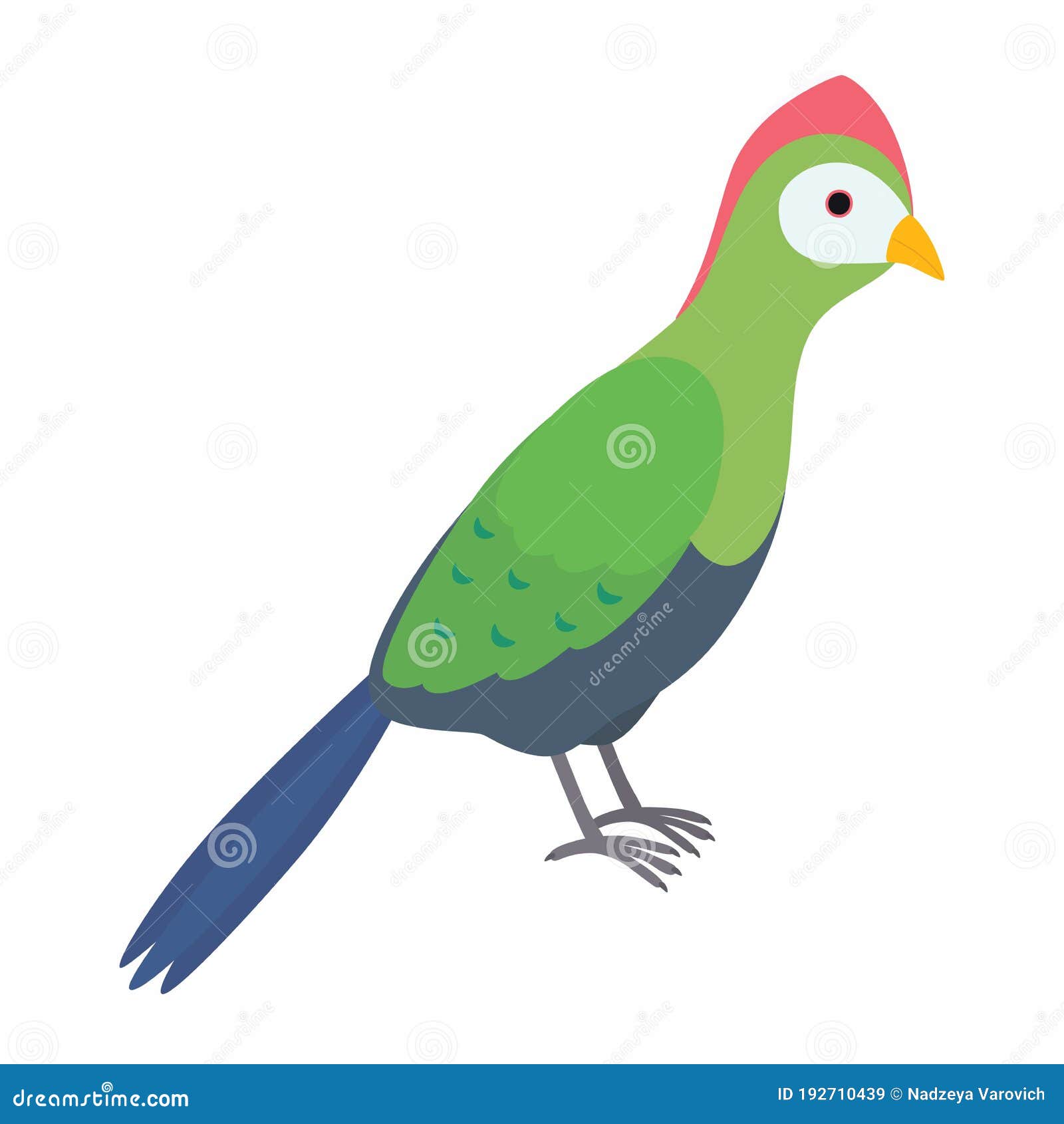 Tauraco Cartoons, Illustrations & Vector Stock Images - 20 Pictures to ...