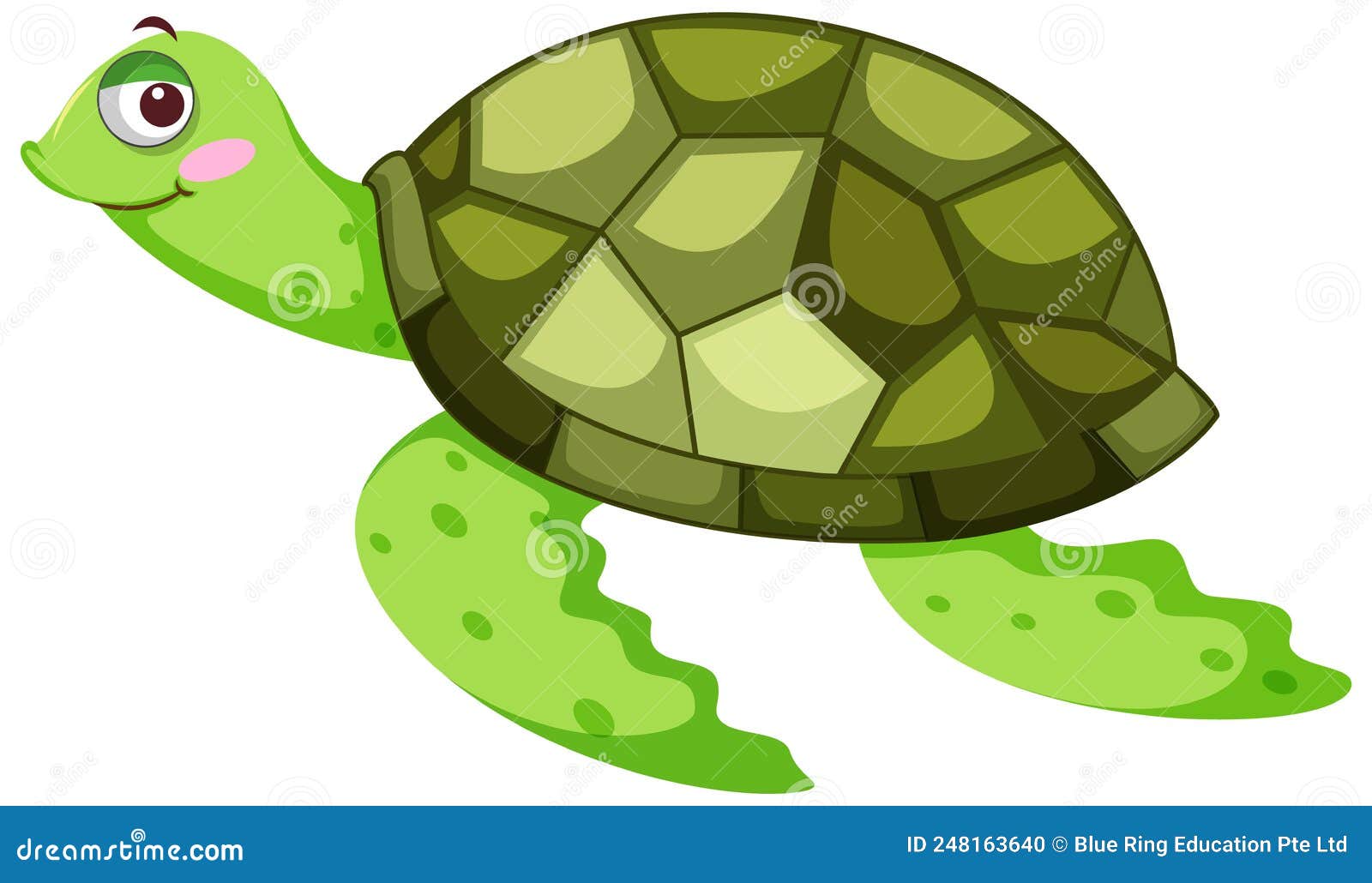 Green Turtle in Cartoon Character Stock Vector - Illustration of green ...