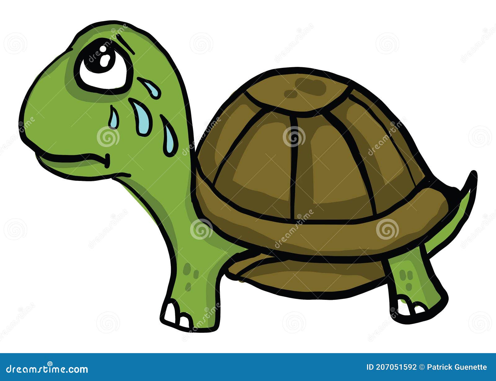 Sad Turtle Clipart Pictures