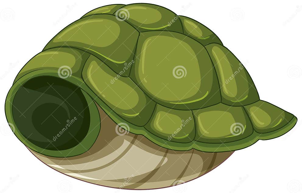 A Turtle Shell with Detailed Texture Stock Vector - Illustration of ...