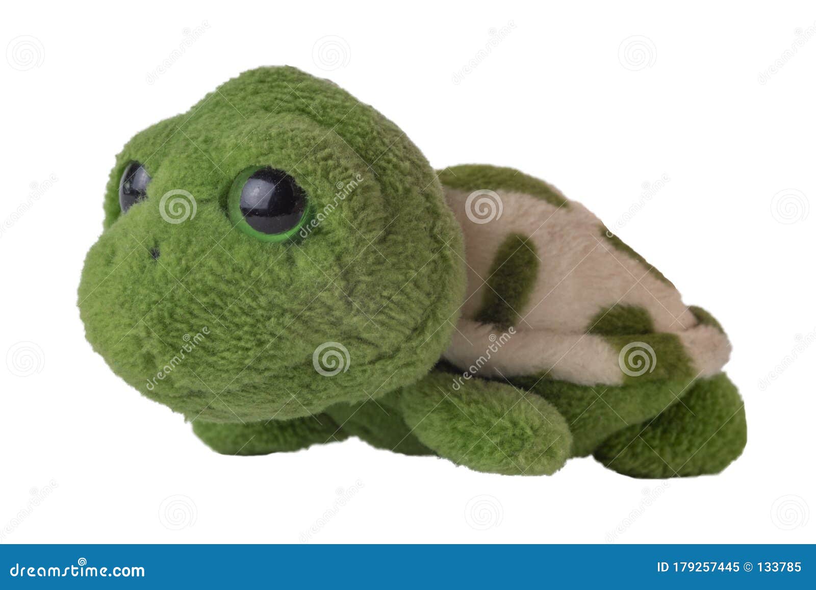 Green Turtle Soft Toy Close-up Isolated on White Background Stock Image ...