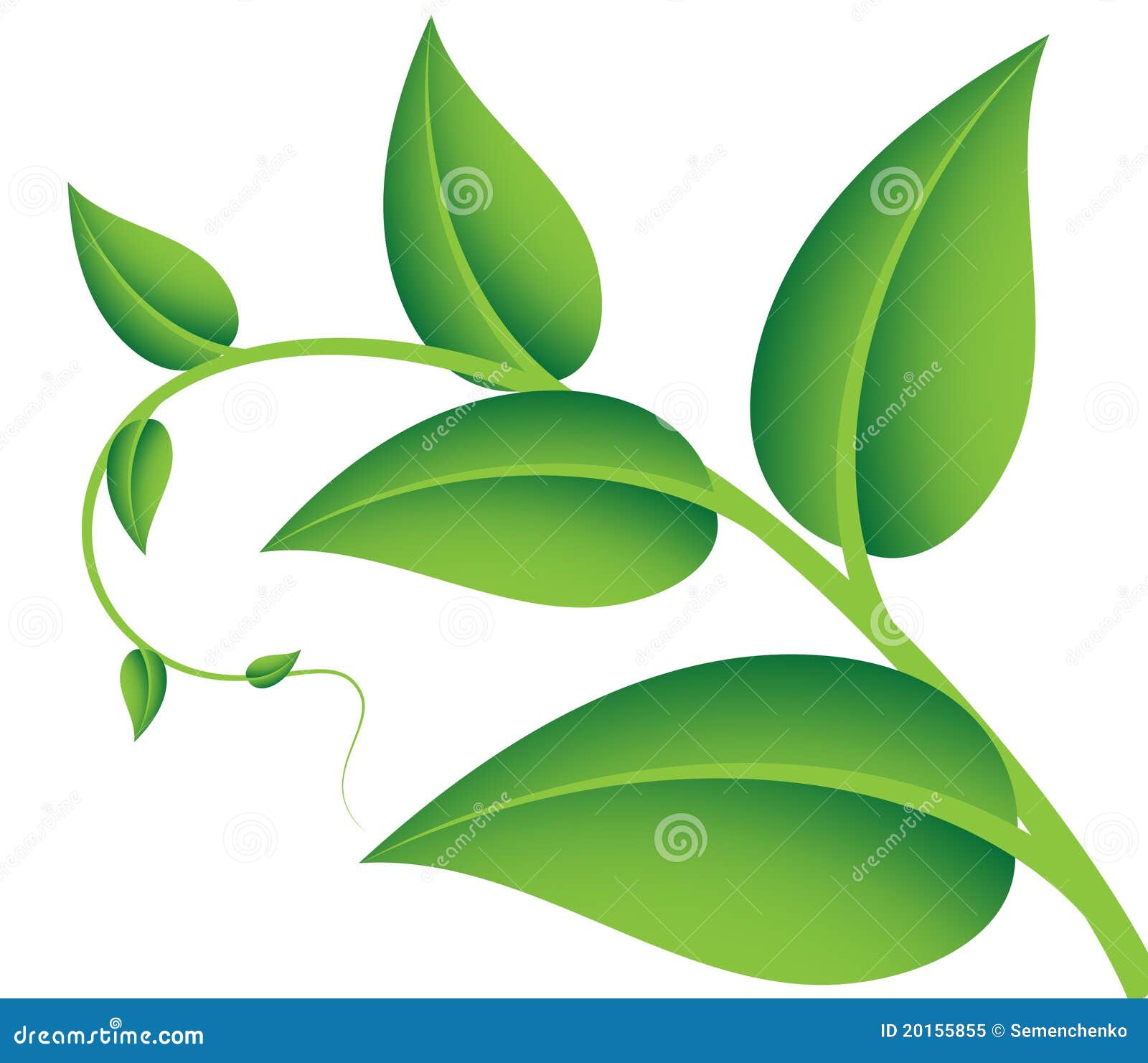 Green twig stock vector. Illustration of nature, naturalistic - 20155855