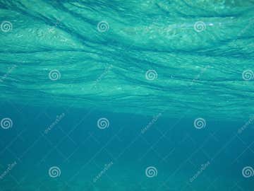 Green underwater stock photo. Image of seabed, bright - 12797034