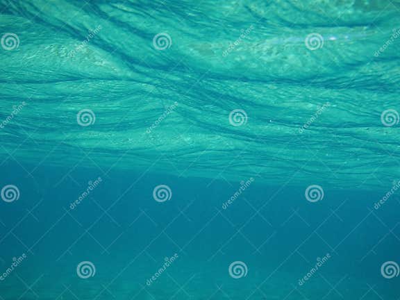Green underwater stock photo. Image of seabed, bright - 12797034