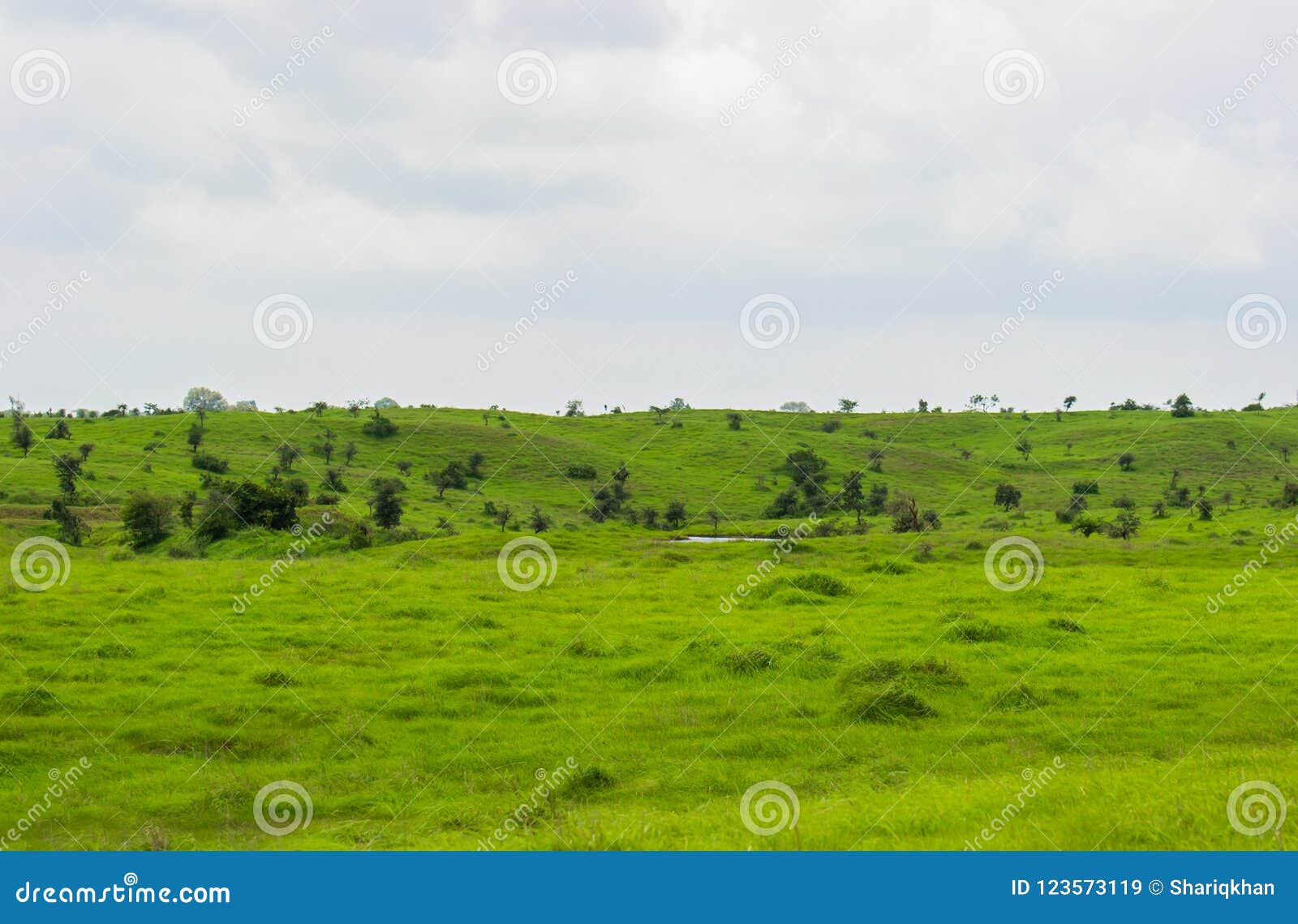 Green Undulating Terrain stock image. Image of bushes - 123573119 Green Undulating Terrain stock image. Image of bushes - 123573119
