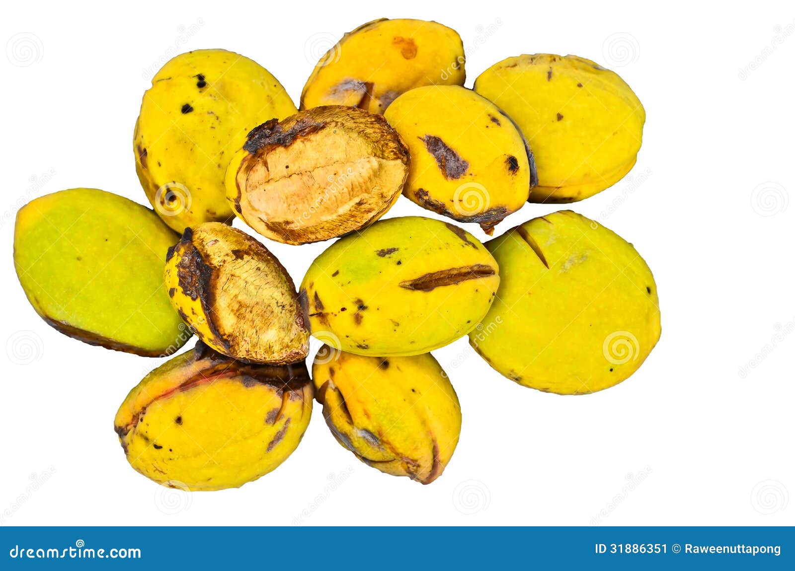 Green unripe almonds stock image. Image of food, crop - 31886351