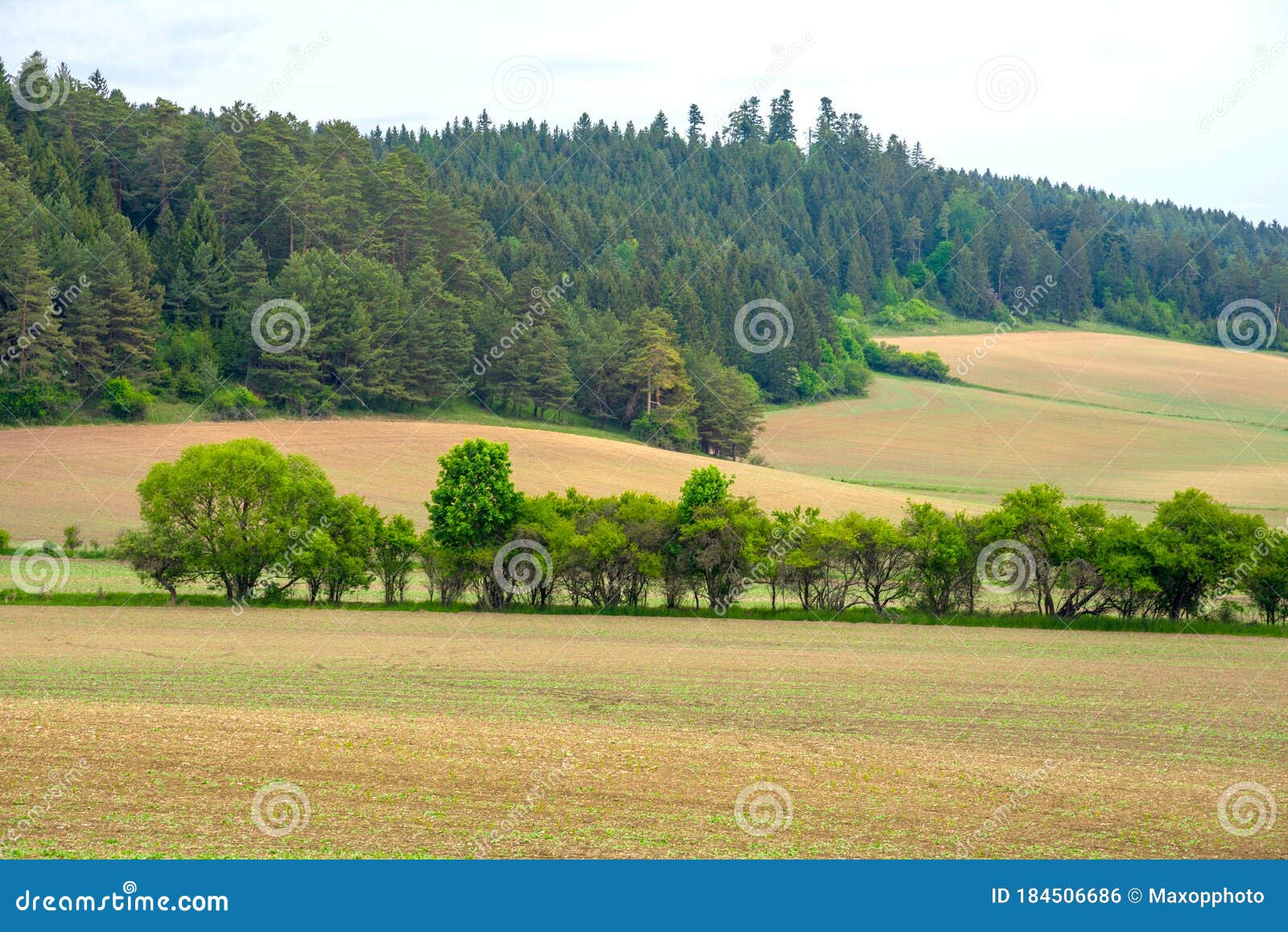 Green Valley in the Central Europe in the Spring Stock Photo - Image of ...
