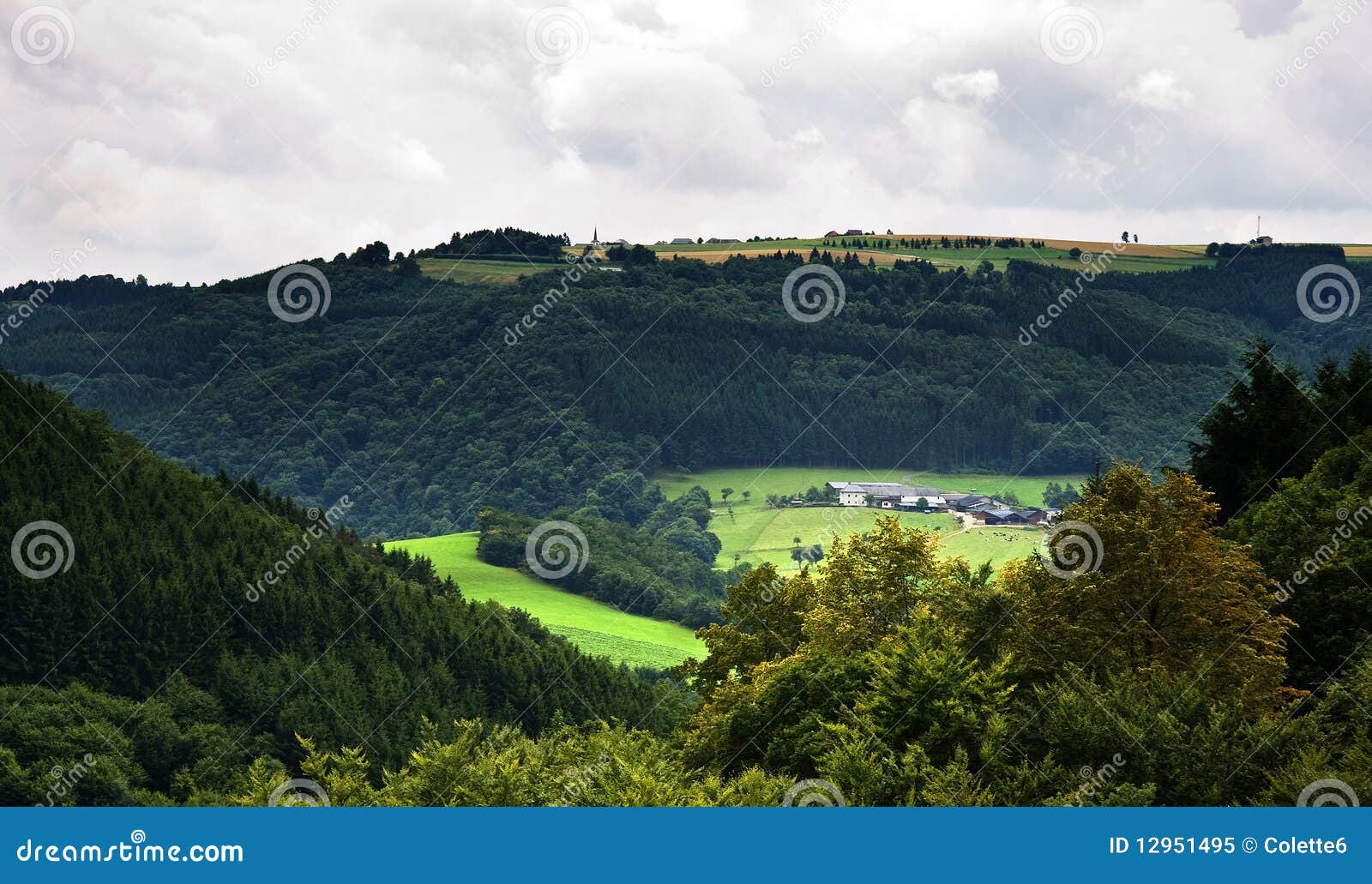 Green Valley with Farm and Cows Stock Image - Image of trees, color ...