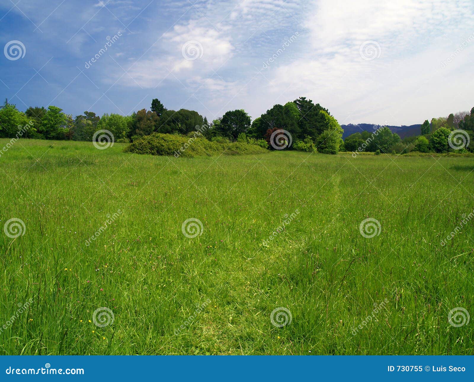 Green Valley Along Markha Valley Trek With Kang Yatse Peak At ...