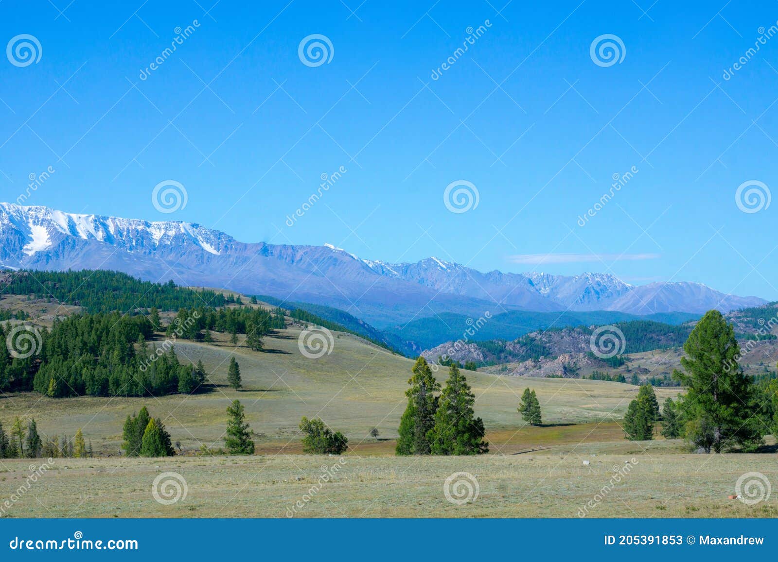 Green Valley Landscape and Small Forests with Mountains on Background ...