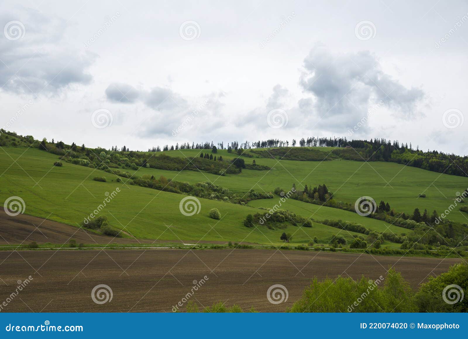 Green Valley in the Spring. Meadow and Field with Trees Stock Photo ...