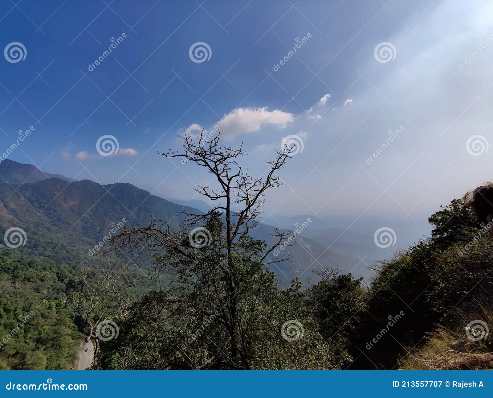 Green Valley View Under the Blue Sky Stock Image - Image of grass ...