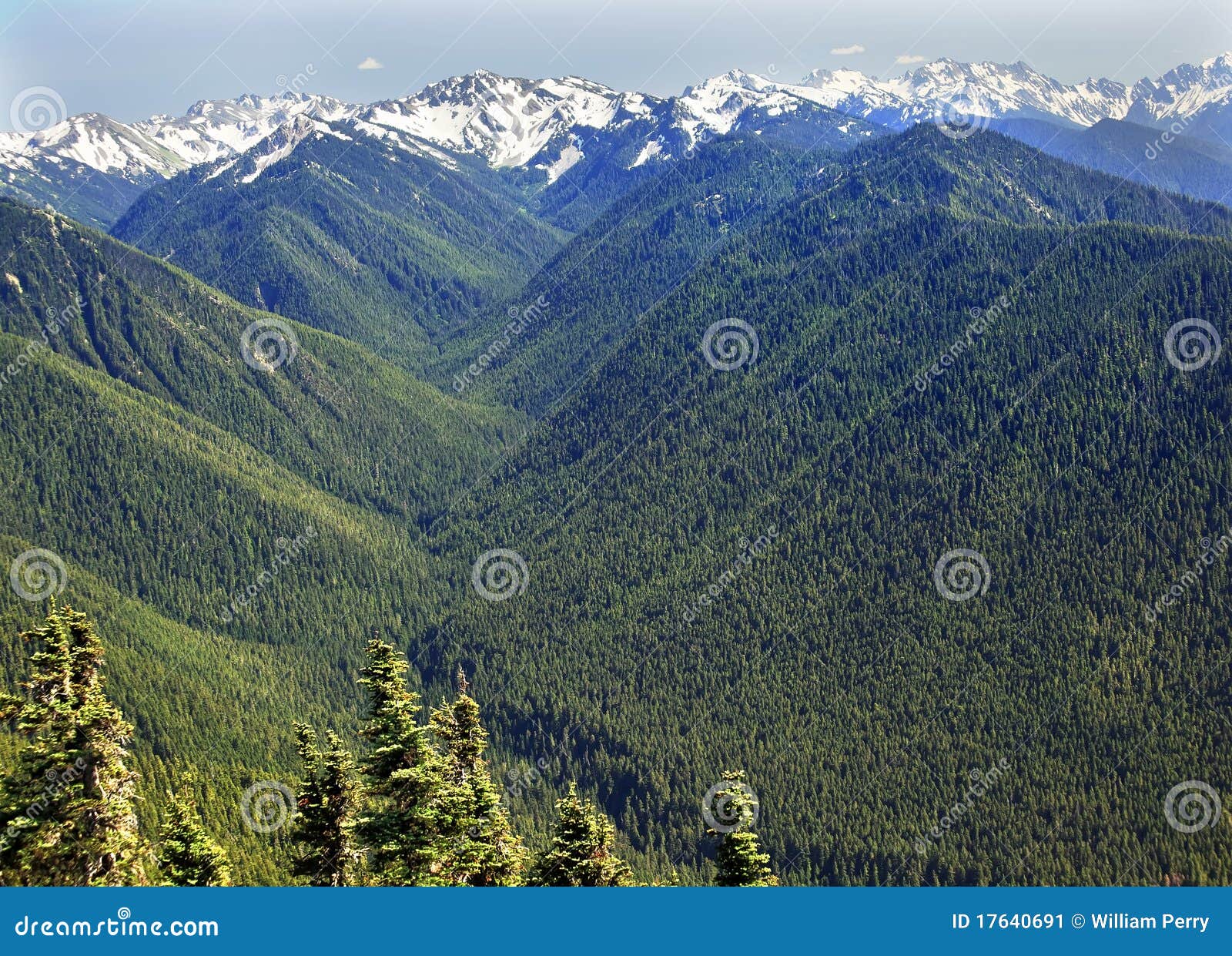 Green Valleys Snow Mountains Hurricane Ridge Stock Image - Image of ...