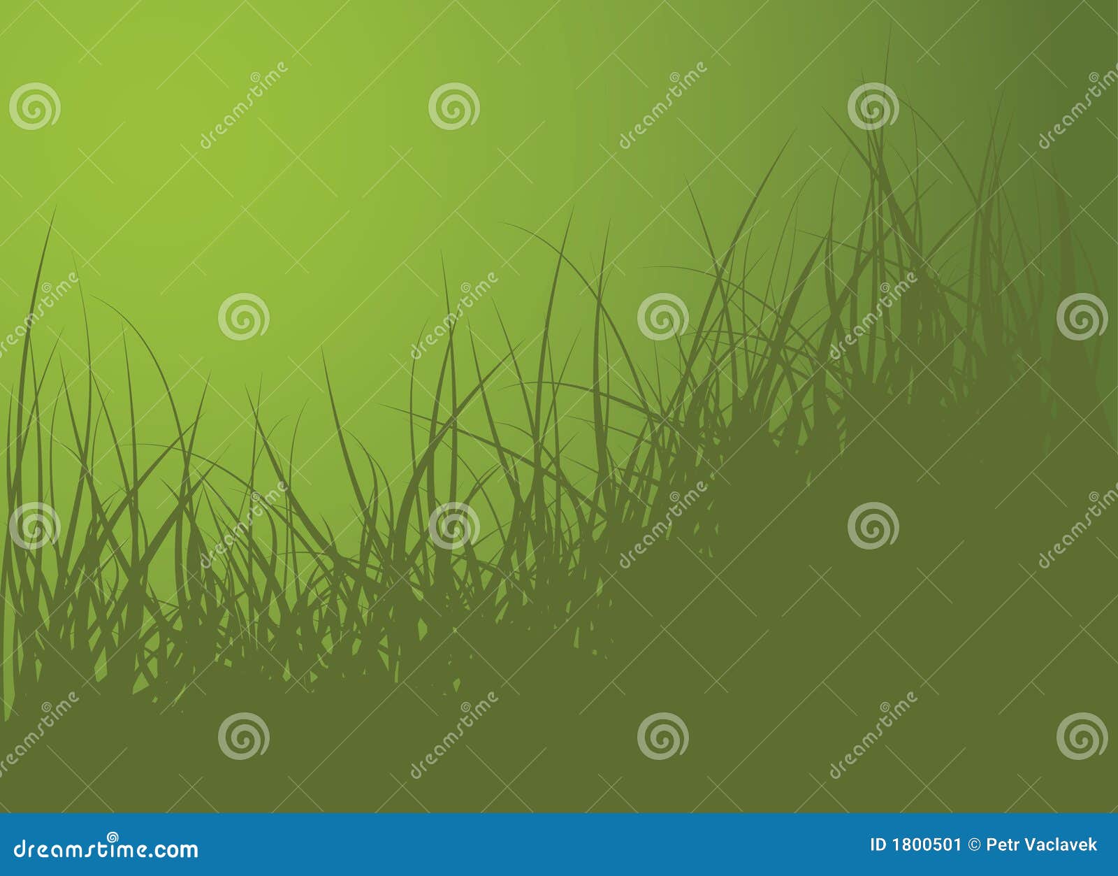 Green Vector Grass Background Stock Vector - Illustration of floral ...