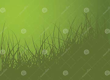 Green Vector Grass Background Stock Vector - Illustration of floral ...
