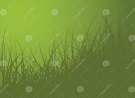 Green Vector Grass Background Stock Vector - Illustration of floral ...