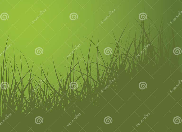 Green Vector Grass Background Stock Vector - Illustration of floral ...