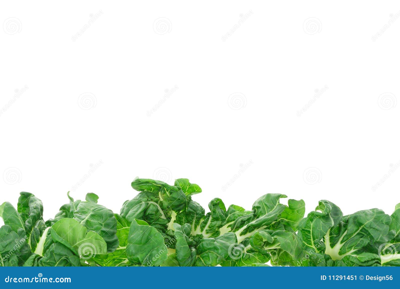 Green Vegetable Border Stock Image - Image: 11291451