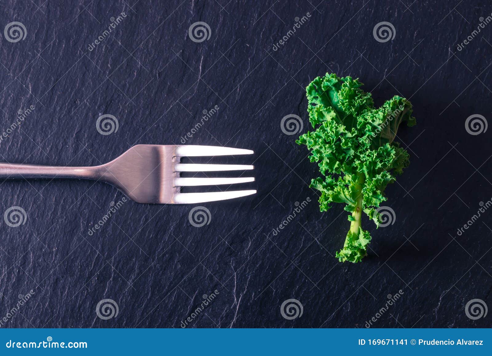 Green Vegetable Leaf with Fork Isolated Stock Image - Image of ...
