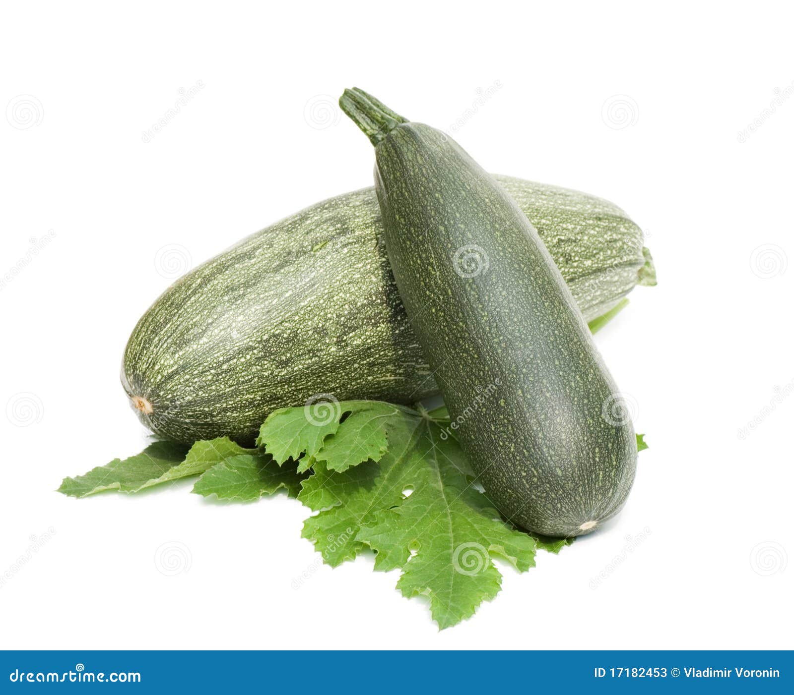 Green vegetable marrow stock image. Image of fresh, market - 17182453