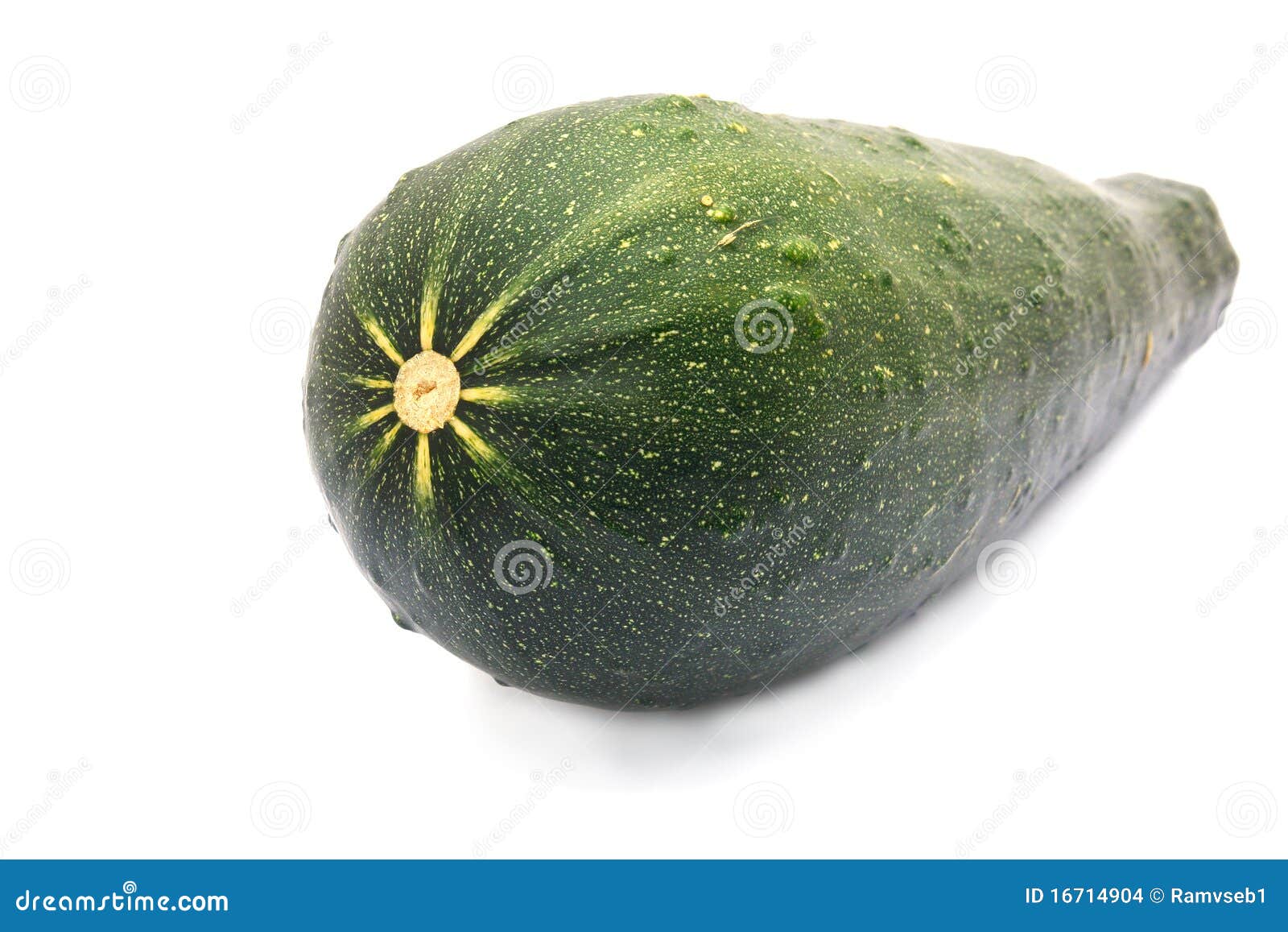 Green Vegetable Marrow or Zucchini Stock Photo - Image of squash, crop ...