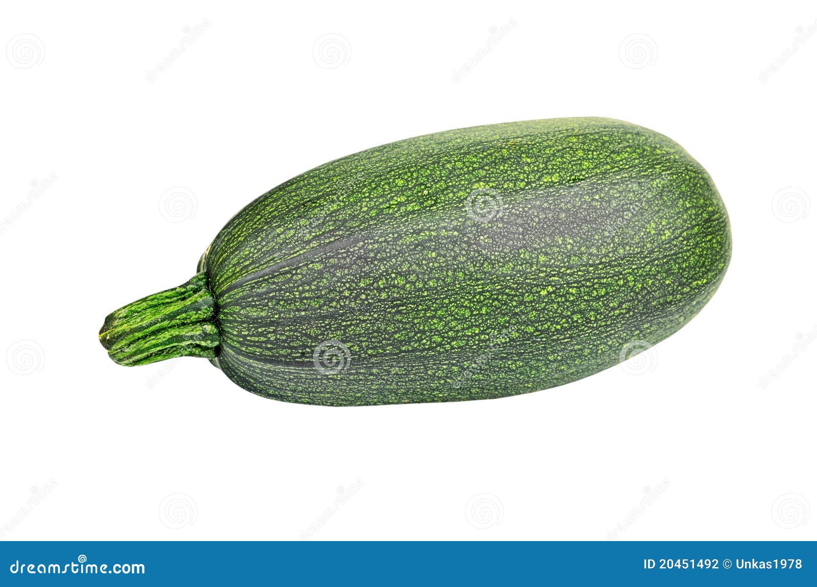 Green Vegetable Marrow (zucchini) Stock Photo - Image of natural ...