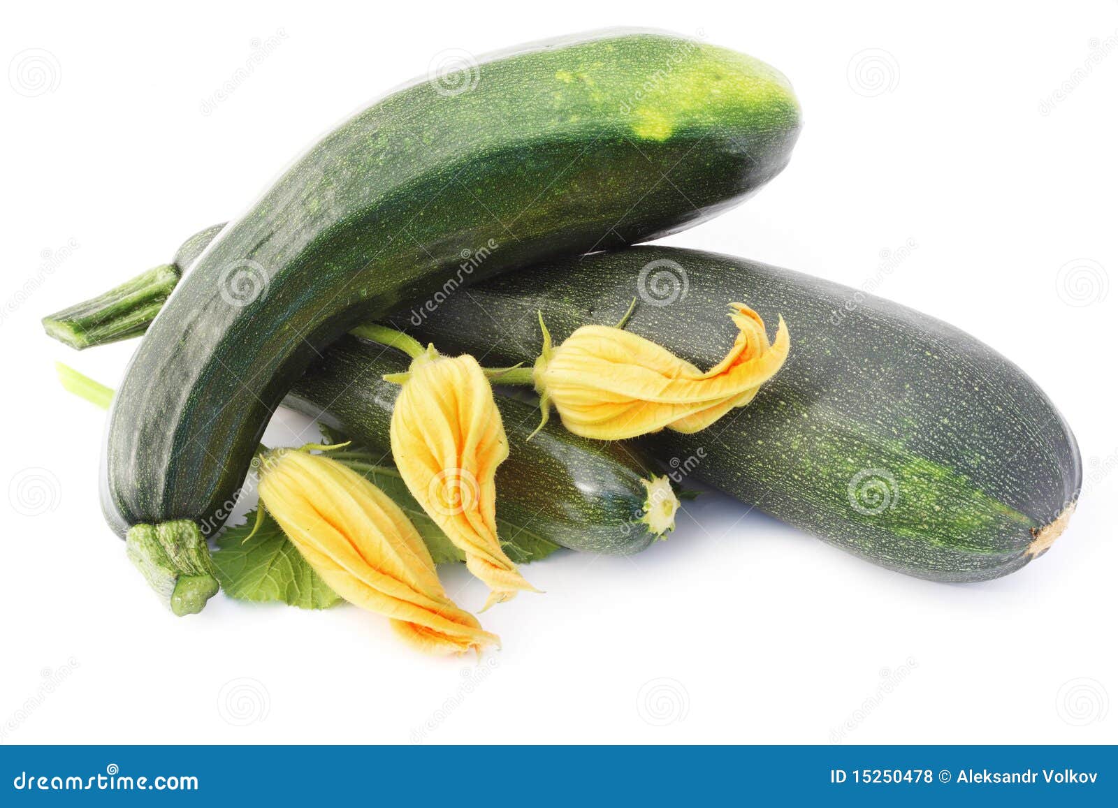 Green vegetable marrows stock photo. Image of marrow - 15250478